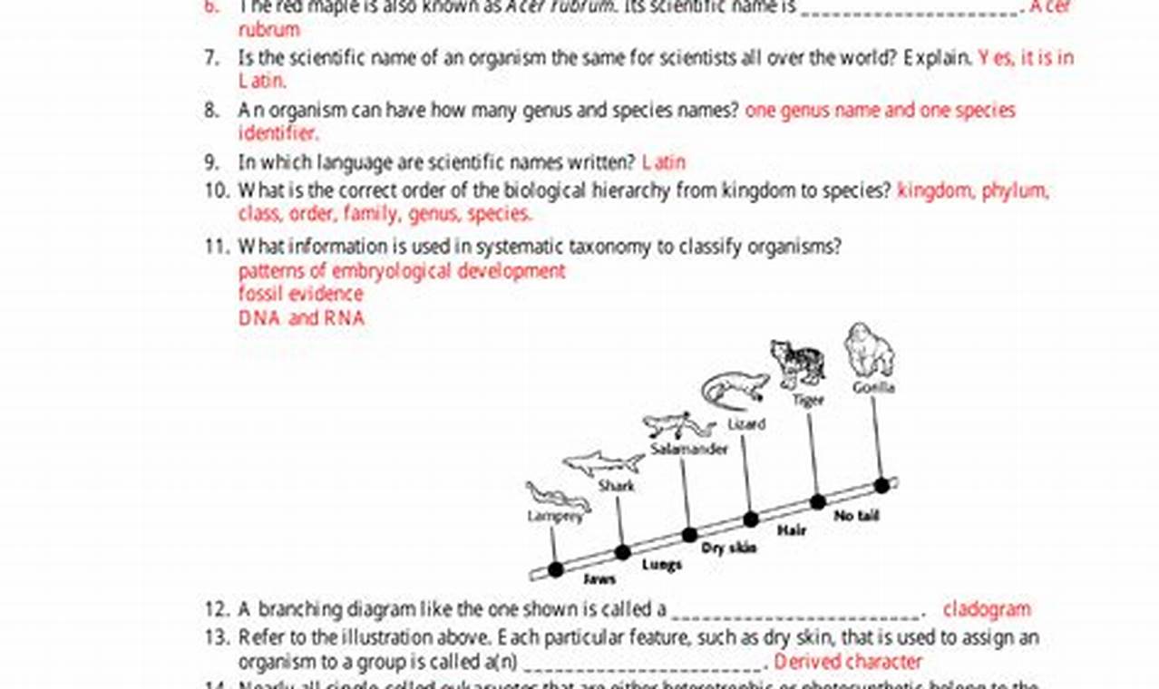 Master Classification with Our Answer Key | Jackson County Schools